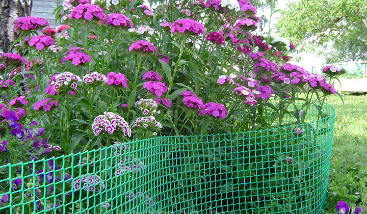 Types and ways of application of a decorative grid for a garden - Blog